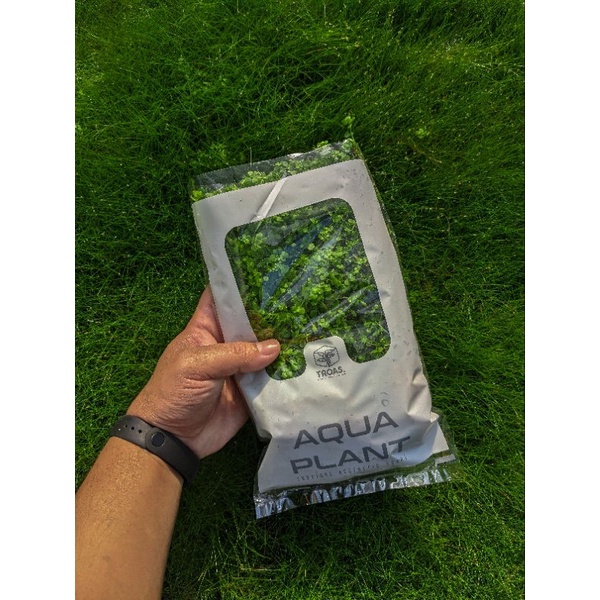 monte carlo pack fresh (emersed) | Shopee Malaysia