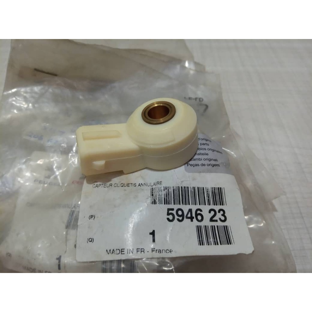 Peugeot 206 406 D9 407 607 Citroen Berlingo Evasion C5 I Engine Knock ...