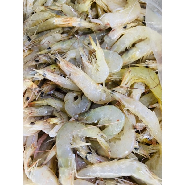 Sungai Besar Sea White Baby Prawn 白肉虾100/200 ( 500gm/pk ) Udang Kecik ...