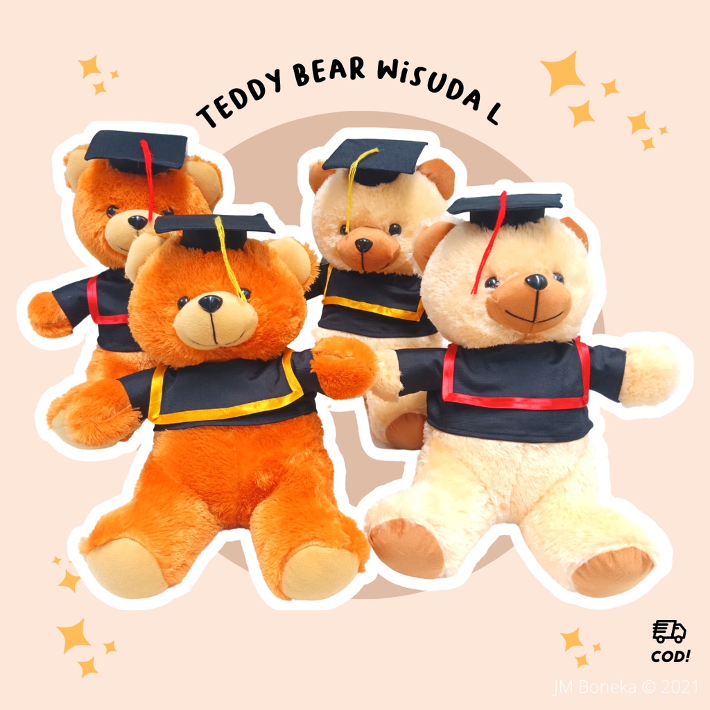 Teddy BEAR GRADUATION Doll L/TEDDY BEAR GRADUATION PRESENT BEAR/TEDDY ...
