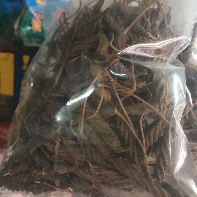 [India] 100 gram Cabai Pintal 神仙草 Tibet grass rope 五爪金龙 （西藏绳仙草) 100克 ...