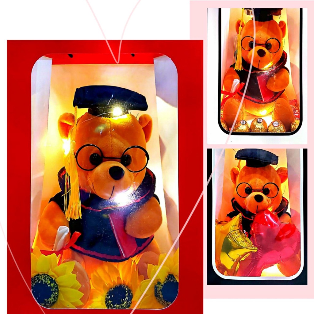 Graduation Convo Teddy Bear Gift Bag with Fairy Light | Shopee Malaysia