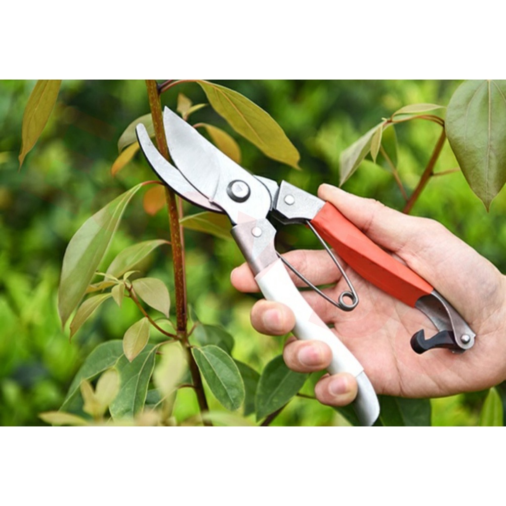 Hand Tool Pruning Shears Plant Garden Trimming Scissors Cutter Garden ...