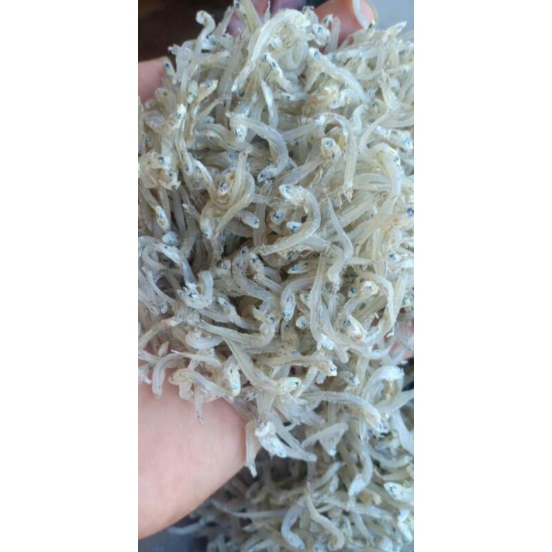 Ikan Bilis Halus Mata Biru | 1Kg | Shopee Malaysia