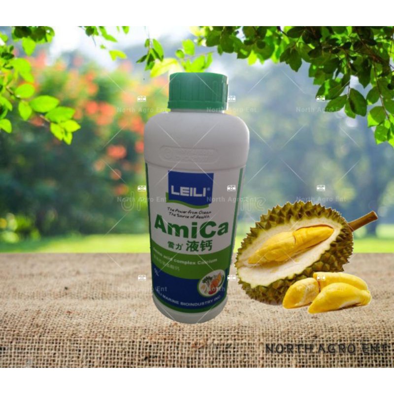LEILI AmiCa (1L) Baja Kalsium Amino Acid Calcium Fertilizer for Durian ...