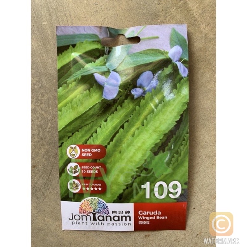 JOM TANAM Winged Bean Garuda Seed JT109 / Benih Kacang Botol / 四棱豆种子/ Garuda 109 (10 seeds ...