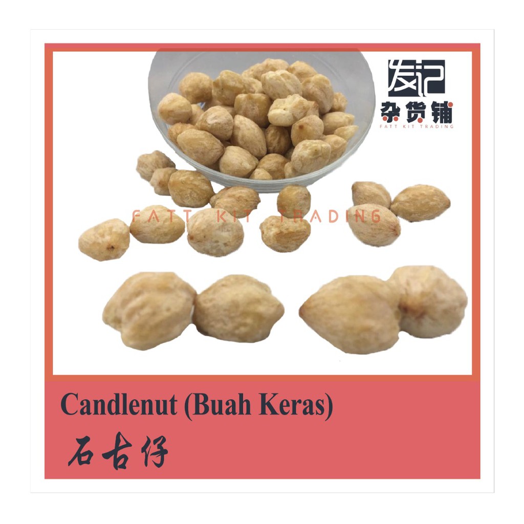 Candlenut ( Buah Keras) 石古仔 | Shopee Malaysia