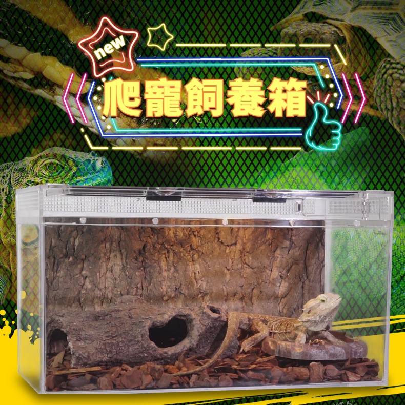 Pet Breeding Box Reptile Glass Tank Gecko Lizard Centipede Spider ...