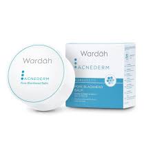 Wardah Acnederm Set/ Acnederm Day Moisturizer/ Wardah Acnederm Night ...