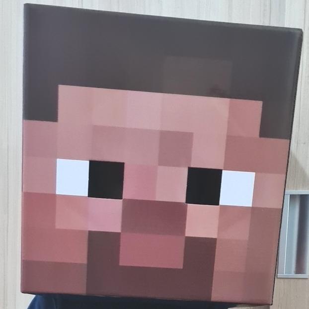 New Minecraft Cardboard Steve Creeper Endermancostume Costume ...
