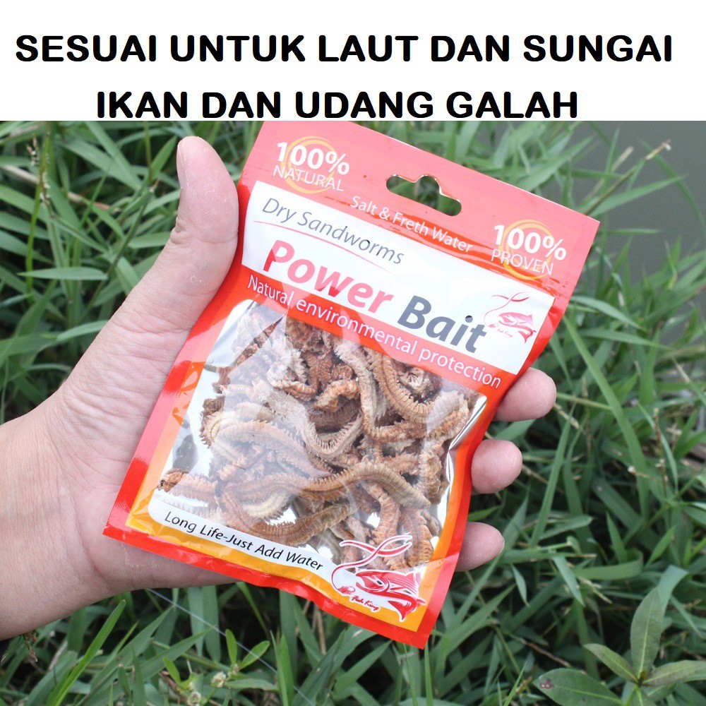 Umpan Viral Ruat Umpun umpun power bait prawn bait udang galah laut ...