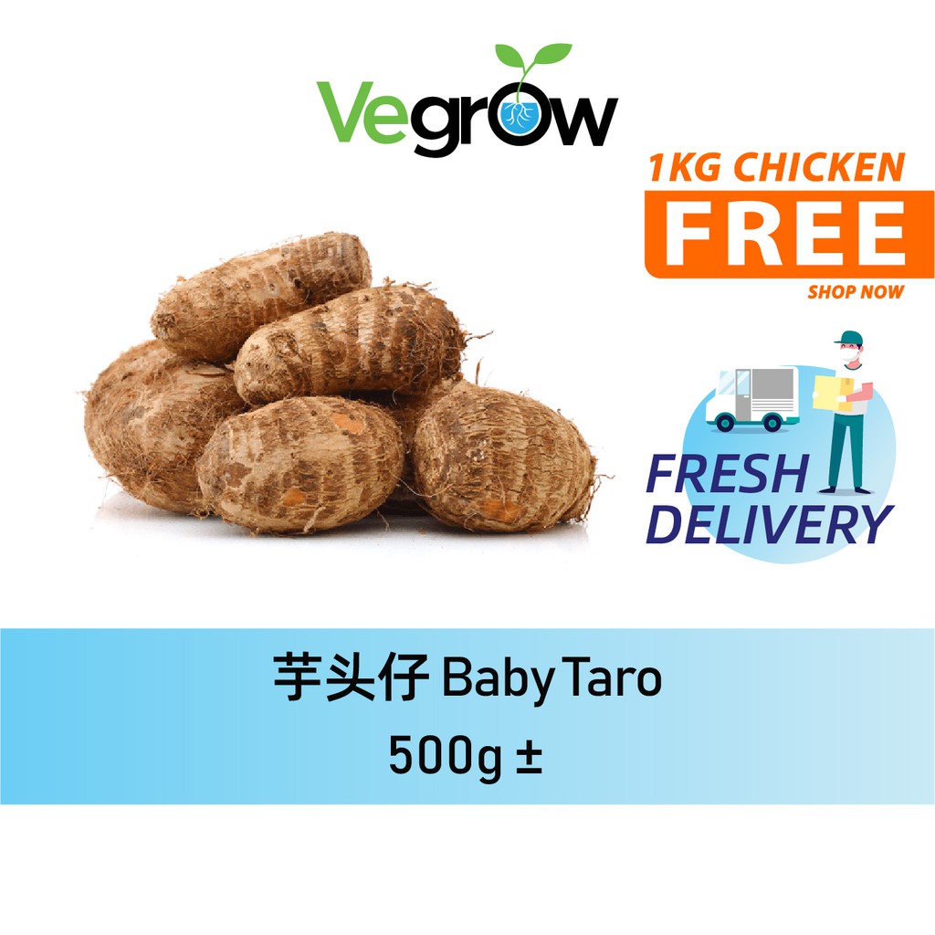🔥FRESH 🔥芋头仔 Baby Taro 500g +- | Shopee Malaysia