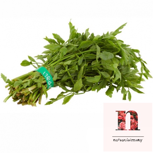 Daun Selom 150g [Klang Valley Only] | Shopee Malaysia