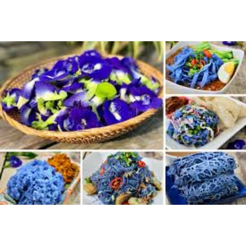 bunga telang kering/butterfly pea flower/pewarna semula jadi nasi ...