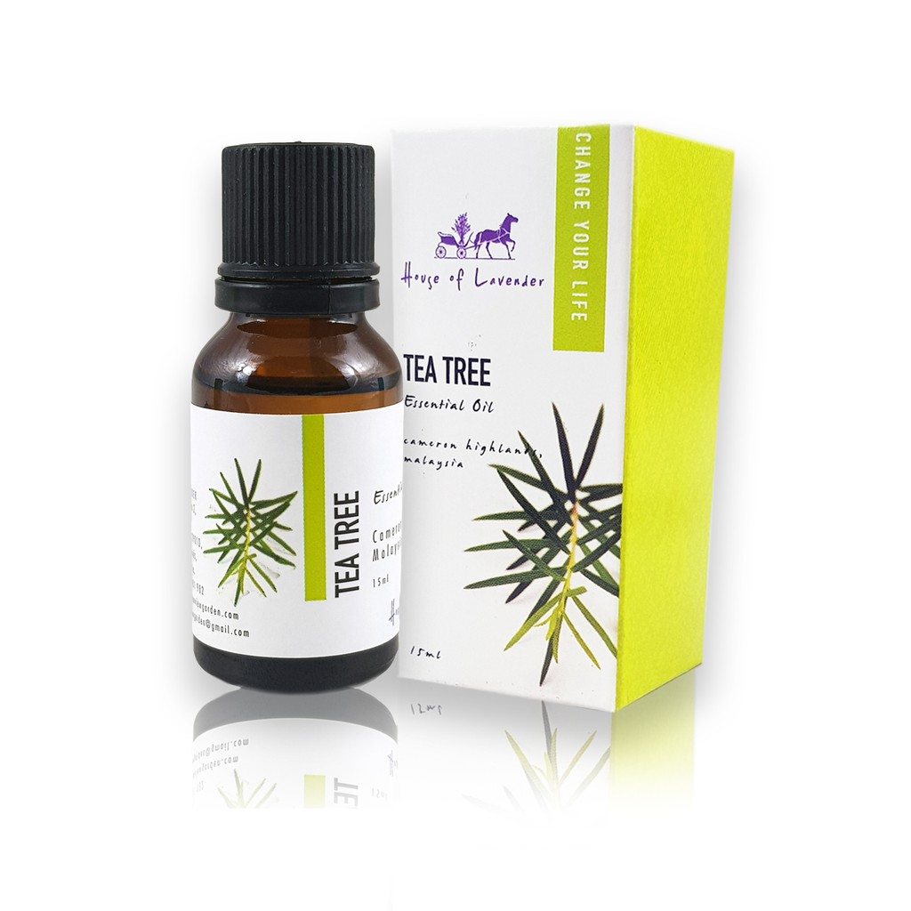 Cameron Highlands - Tea Tree Essential Oil (15 ml) | Shopee Malaysia