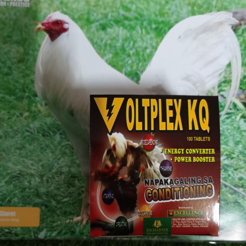 ayam laga Voltplex KQ Tablets 10s | Shopee Malaysia