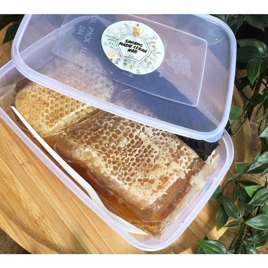 [3 FREE GIFT] 500G MADU SARANG LEBAH MELLIFERA ASLI 100% [MADU TERNAK ...