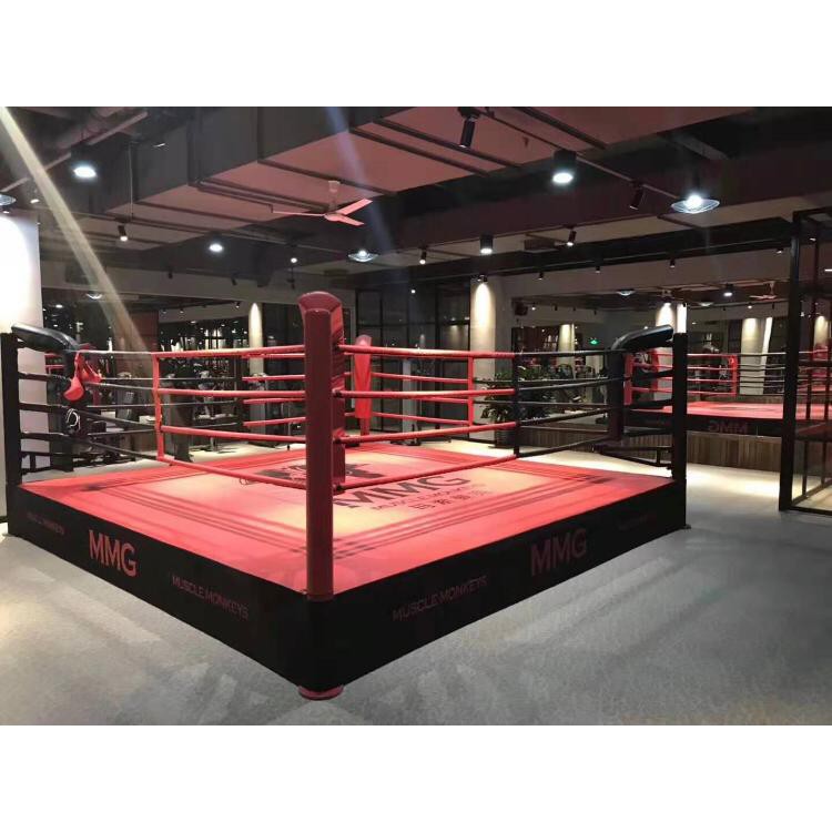 MMA Muay Thai Kick Boxing Boxing Boxing Ring🥊 (Pre order) | Shopee Malaysia