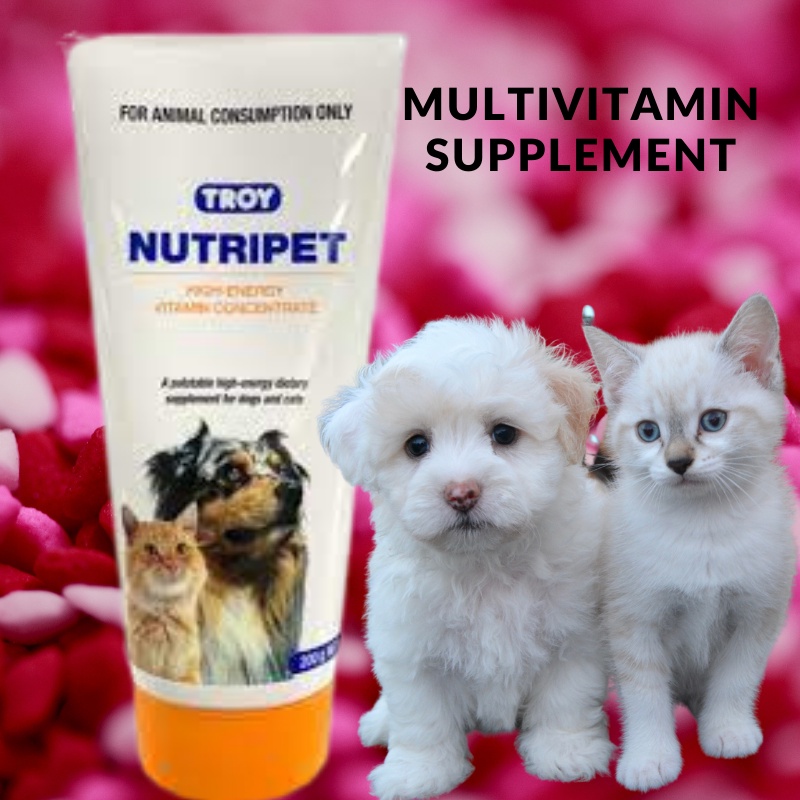 Troy Nutripet High-Energy Vitamin Concentrate paste 200g DOG AND CAT SUPPLEMENT | Shopee Malaysia