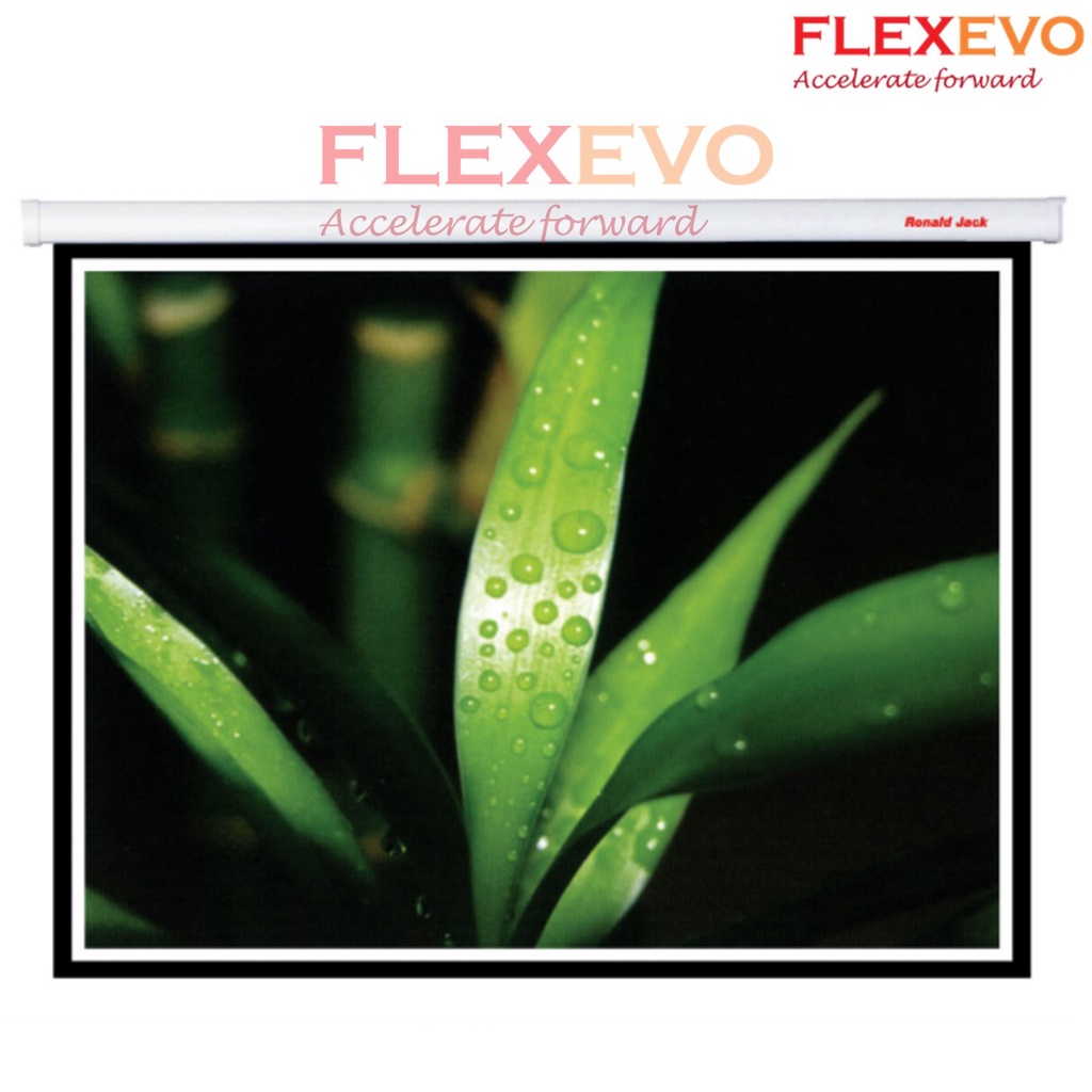 Manual Wall Ceiling Mount Projector Screen 1:1 4:3 16:9 100" Ronald ...