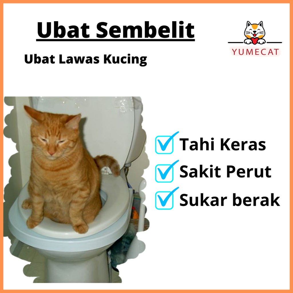 Shopee Malaysia | Free Shipping Across Malaysia