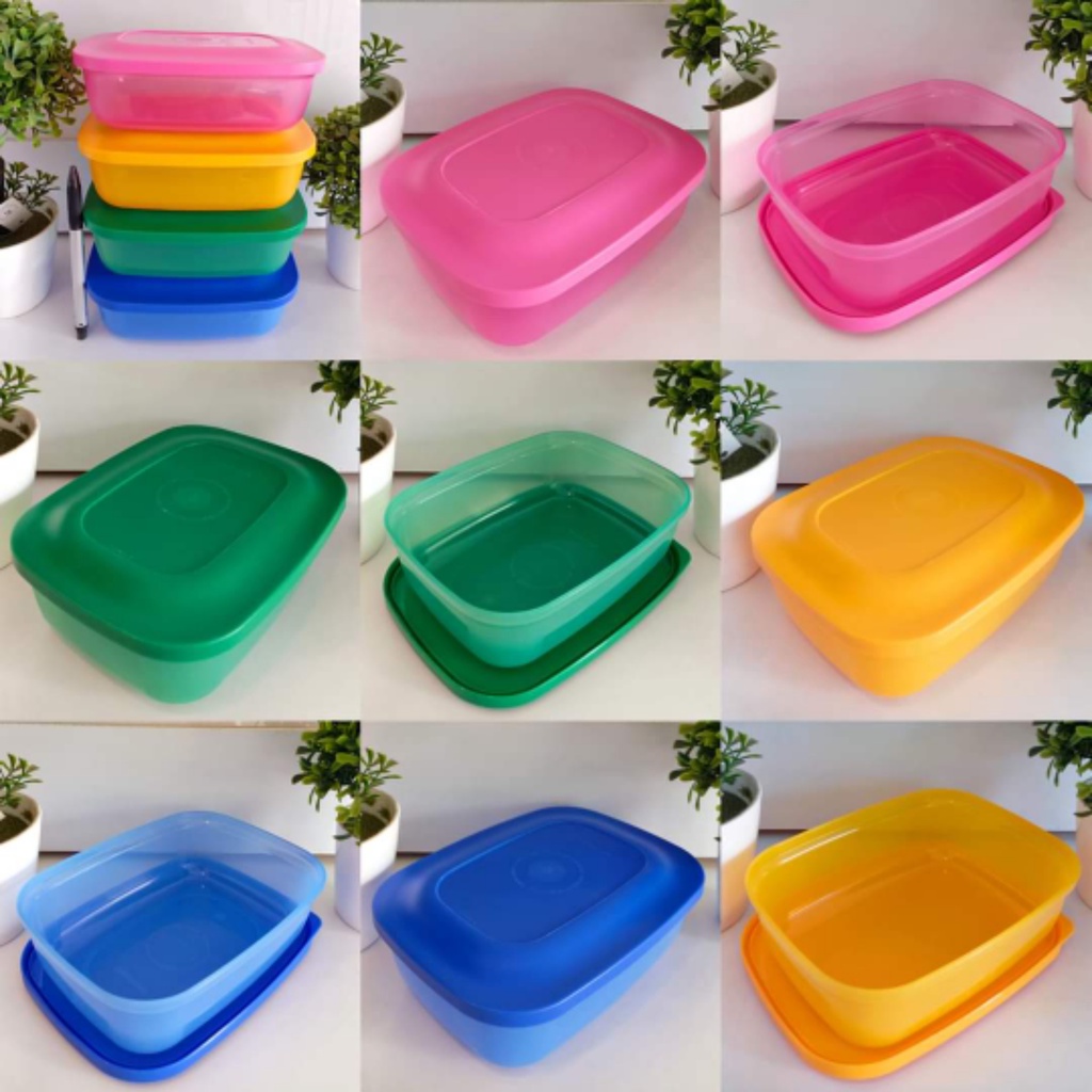 10 warna: Tupperware 500ml Small Rectangular Saver Lunch Box for Kid ...