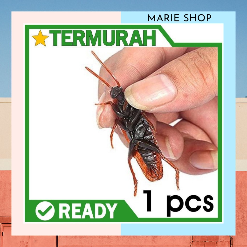 Cockroaches / COCKROACHES / TOY COCKROACHES / TOY COCKROACHES / PLASTIC ...