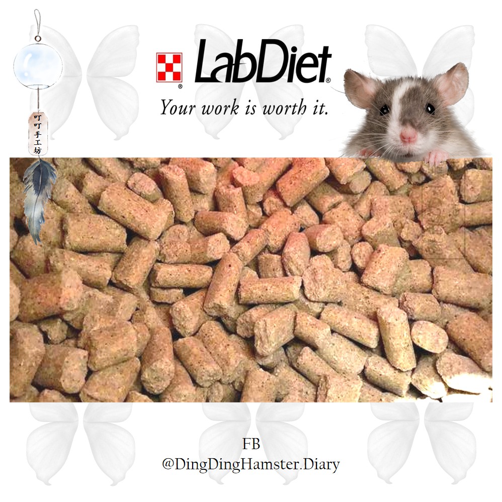 (U.S.A)Labdiet 5001/5010 Premium Lab Block Rat Mouse Mice Diet Food ...