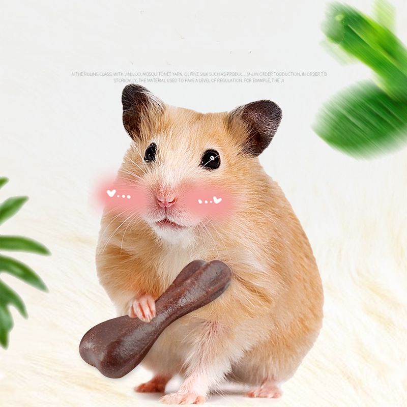 🔥Ready Stock🔥 Hamster teeth cleaning rod molar stick | Shopee Malaysia