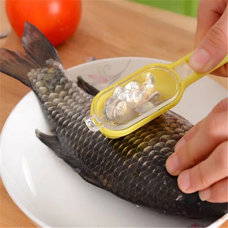 🔥🔥ReadyStock🔥🔥 Fish Scales Clear Box Store Fish Scales | Shopee Malaysia