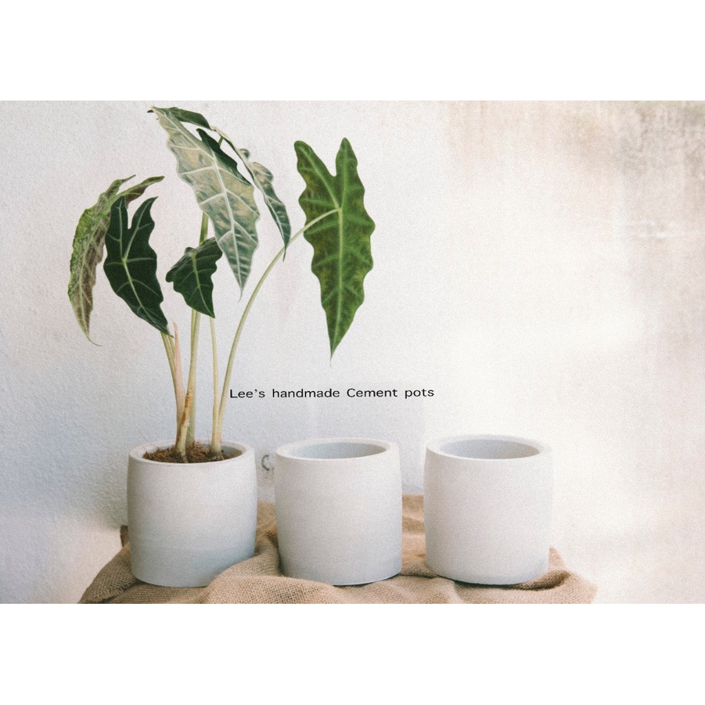 [LHCP] Large Circle Cement Pot | Pasu Bunga Simen Bulat Besar | 大圆形水泥花盆 ...