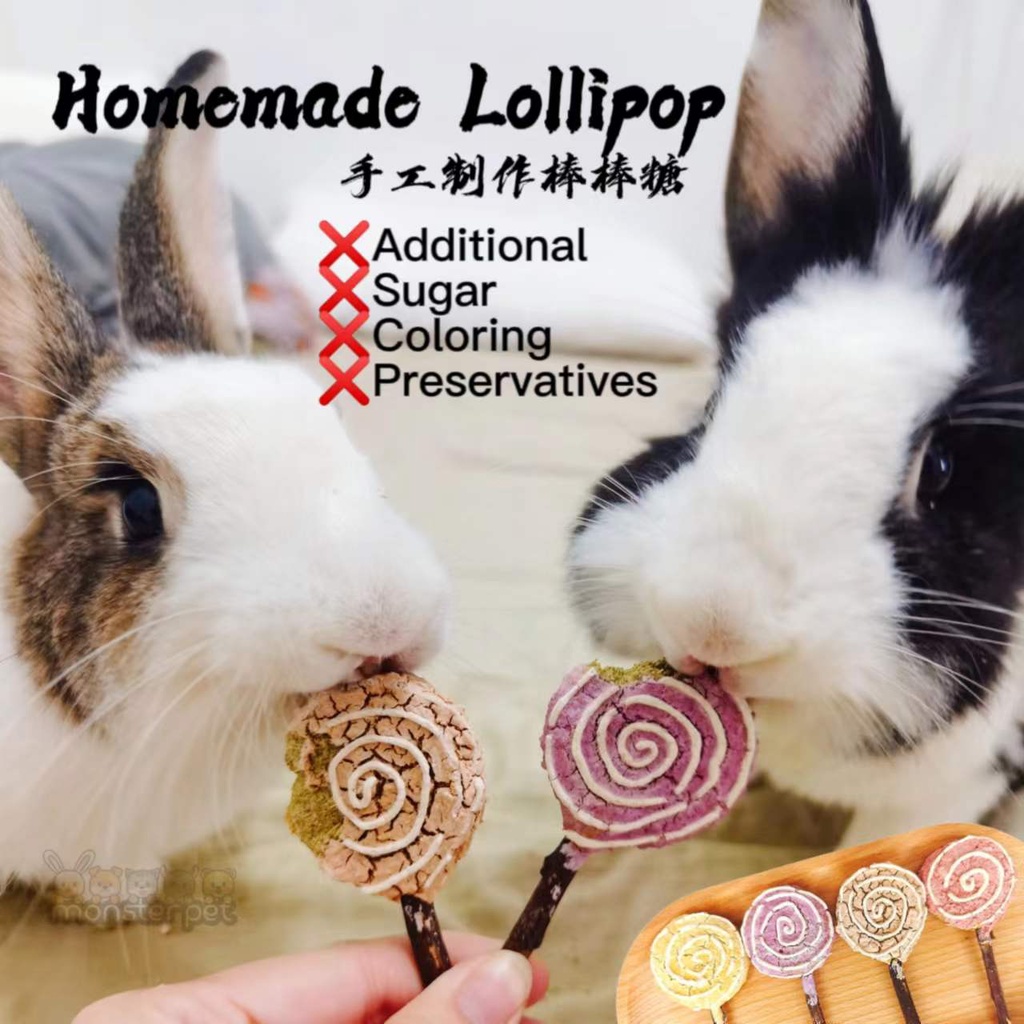 Homemade rabbit treats Timothy hay Lollipop small animal snack Rabbit ...