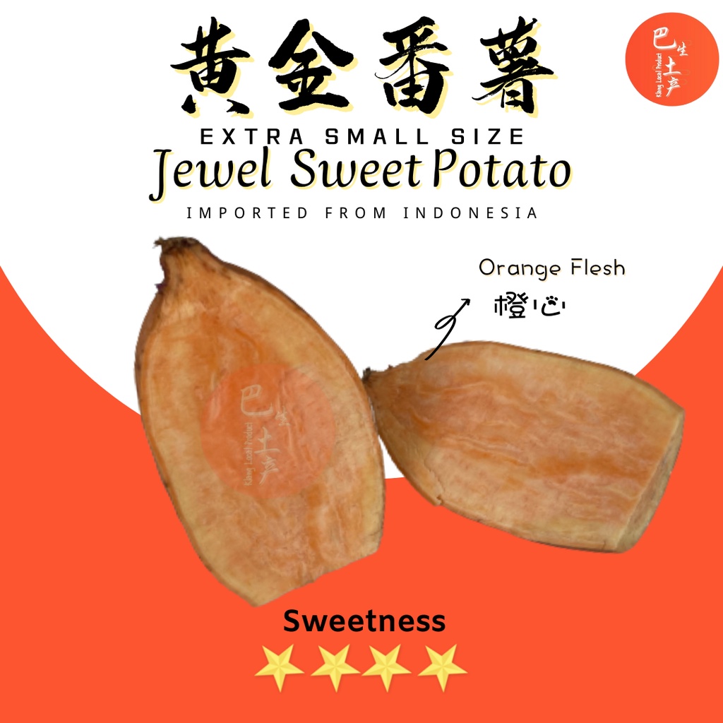 [Extra Small Size] Jewel Sweet Potato 1 kg | Shopee Malaysia