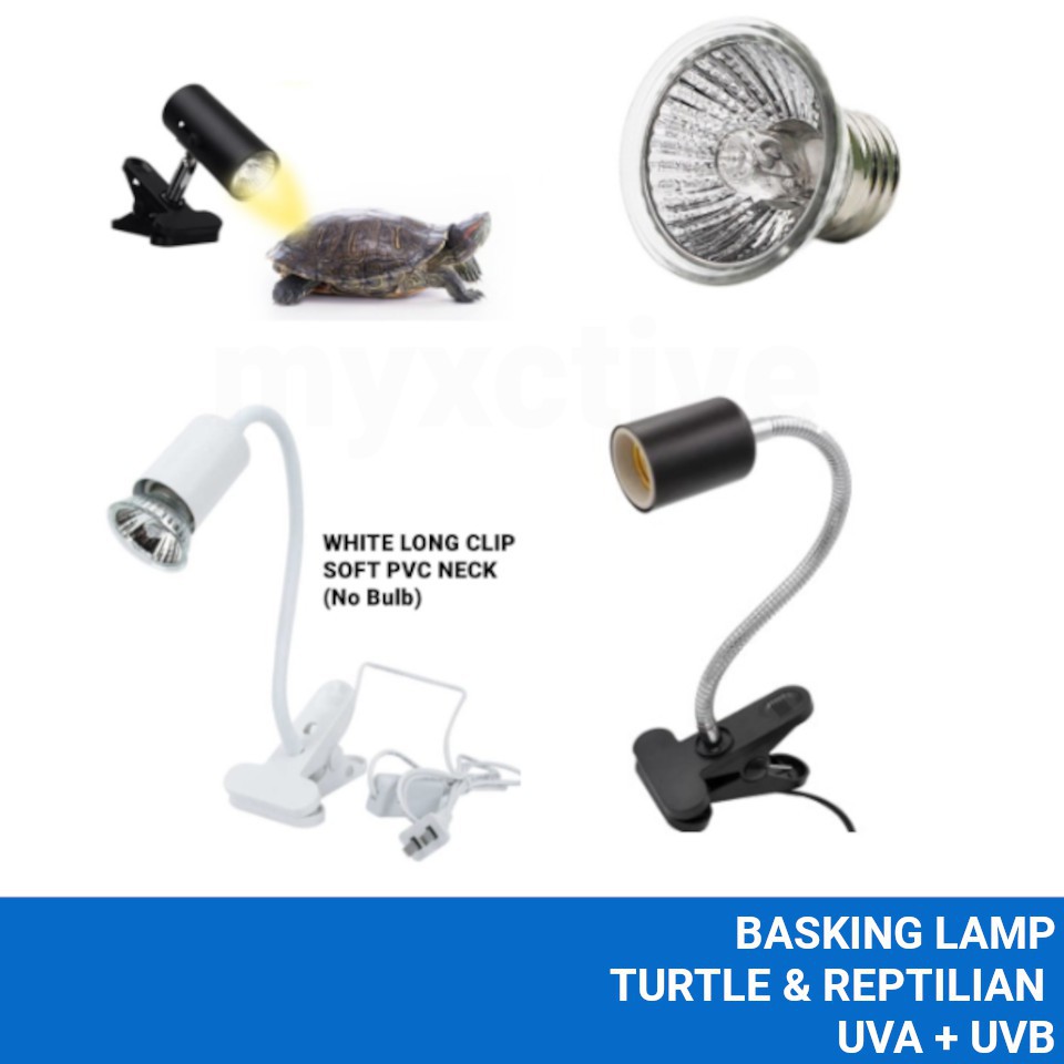 Dari Msia - Clip On Basking Light for Reptile Turtle Lizard 25w 50w 75w ...