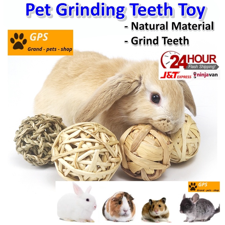 Pet grinding toys Small Animal Grinding ball Toy Hamster Guinea pig ...