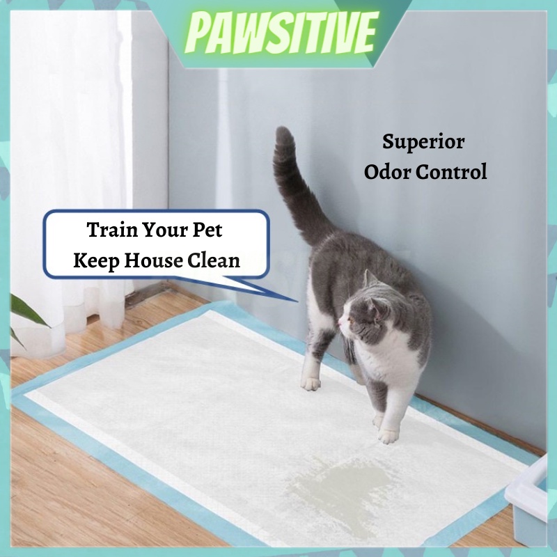 PAWSITIVE Pet Training Pad Cat Pet Pad Sheet/Pet Pee Pad Kucing Kencing ...