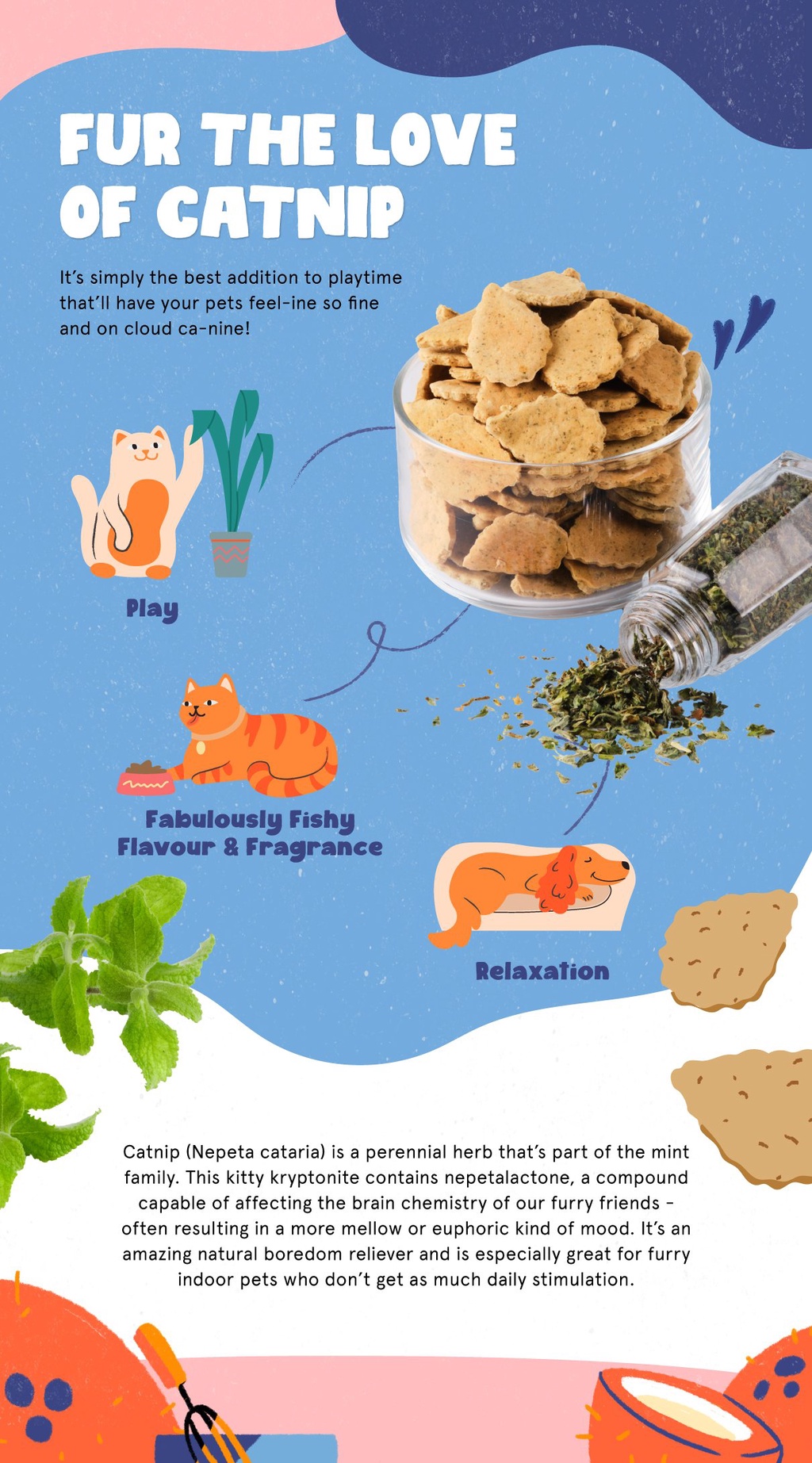 Signature Market Two Tails Catnip 'N Chill Fish Nibbles (For Dogs ...