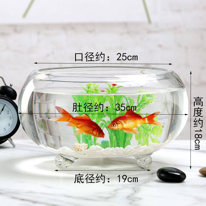 Kaca Kreatif Kreatif Klasik Dengan Jaw Round Fish Tank Kecil Desktop ...