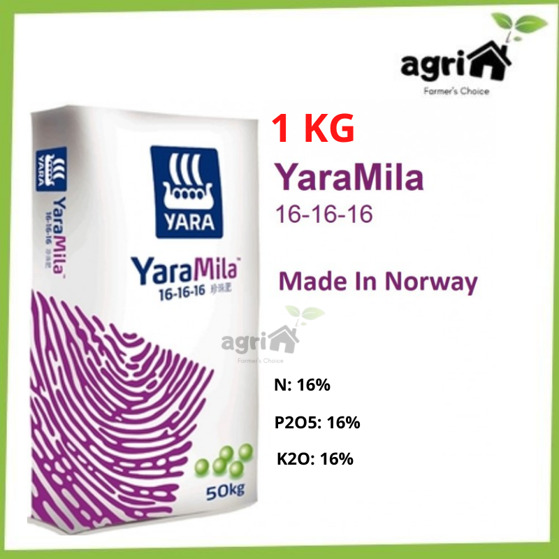 1KG YaraMila 16-16-16 Imported Growing Fertilizer Baja Berdaun Import ...