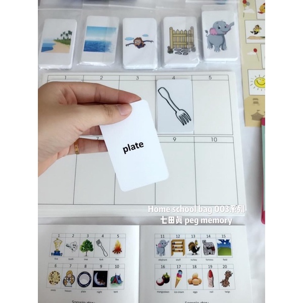 Peg Memory shichida七田真右脑联想记忆训练卡Early Learning | Shopee Malaysia