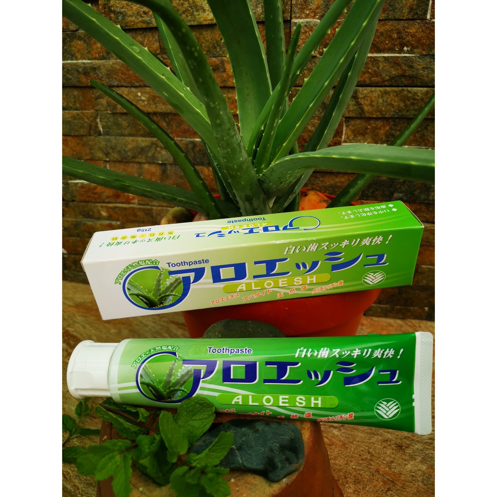 Made in Japan 日本制造 Aloesh Toothpaste 芦荟强健护龈牙膏 (215g) Exp: 22/6/2027 | Shopee Malaysia