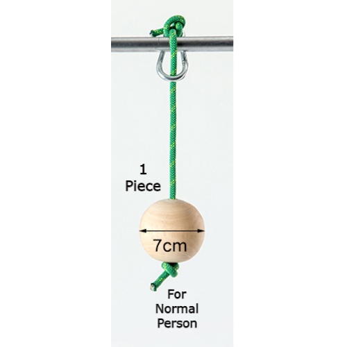 SKED Grip Training Hand Gripper Ball (1Pc) 5cm/7cm/8cm Dia for Pull Up ...