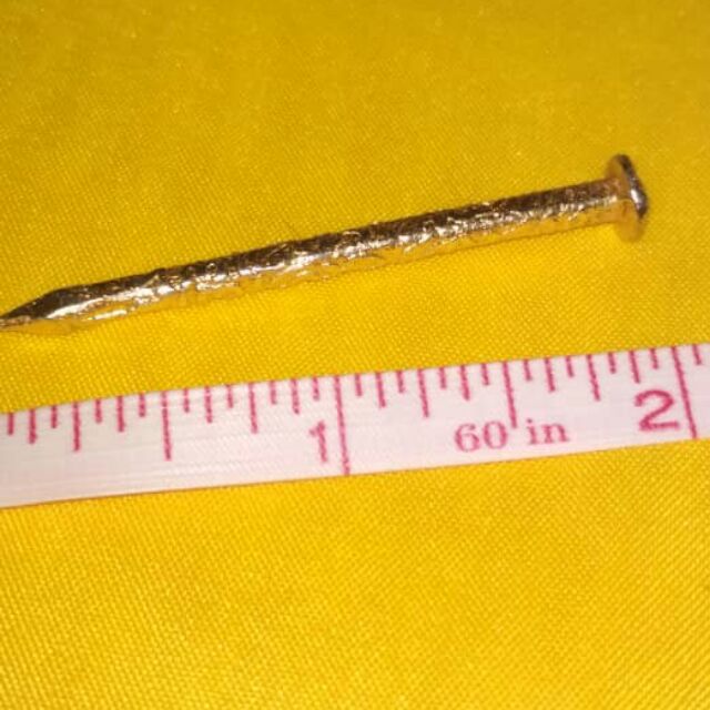 Paku besi kuning berwafak ( 4 batang) | Shopee Malaysia