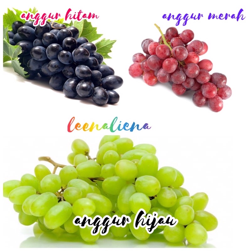 Anggur merah/hitam/hijau /Grape Red /black/green Seedless (500G+-/PKT ...