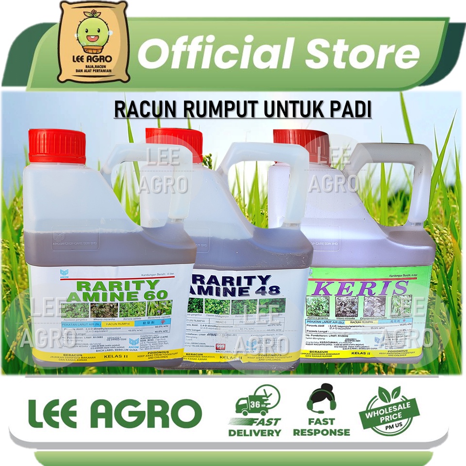 4L Rarity Amine 48/ Rarity Amine 60 /Keris/ Rumput Karpet/ Padi /Carpet ...