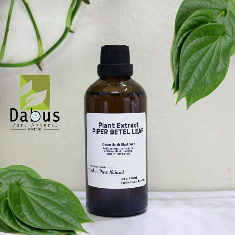Plant Extract Piper Betel Leaf | Ekstrak Daun Sirih | Shopee Malaysia