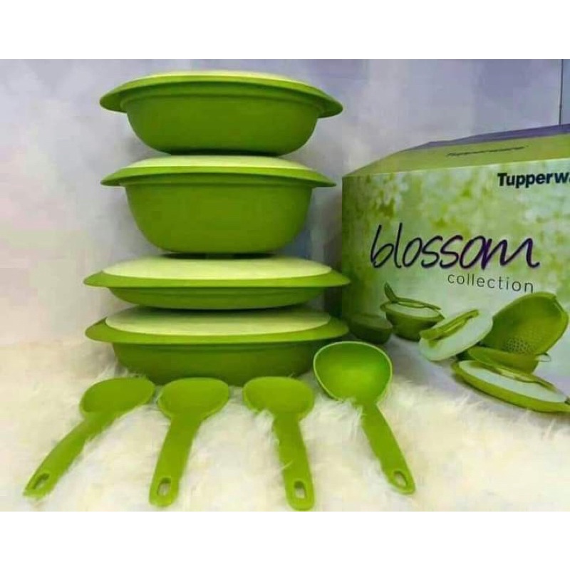 Tupperware -Blossom Collection Set (Light Green) | Shopee Malaysia