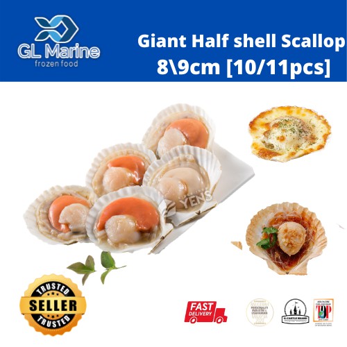 [Raya Sales][Wholesales]Giant Half Shell Scallop 8/9CM (10/11Pcs/pkt ...