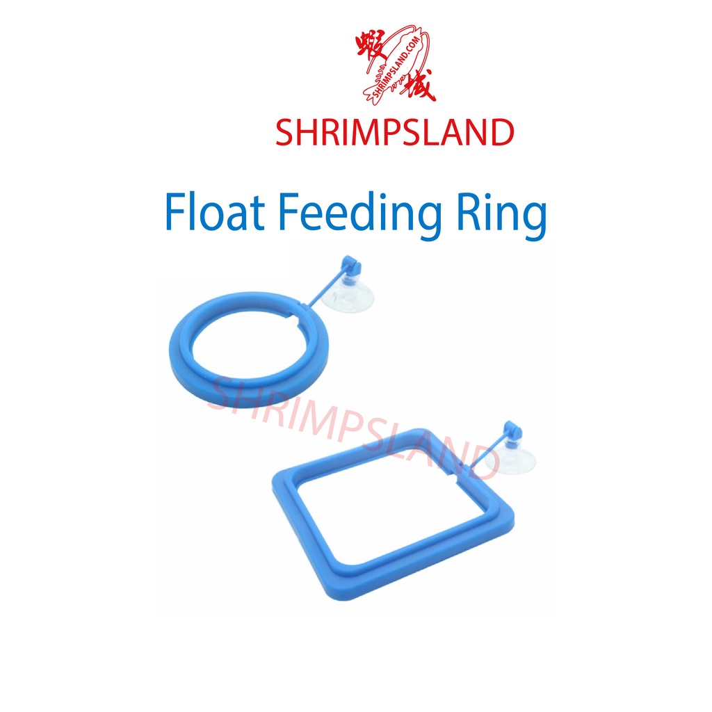 [SHRIMPSLAND] Aquarium Floating Fish Food Feeding Ring Tray | Shopee ...