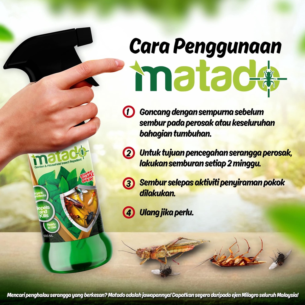 Matado Milagro Racun Organik Spray Serangga Perosak Tanaman Belalang ...
